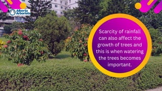 What are Some Factors That Affect Proper Growth of Trees | PPTX