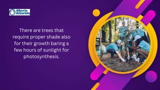What are Some Factors That Affect Proper Growth of Trees | PPTX