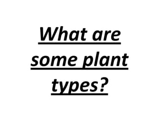 What are some plant types | PPTX