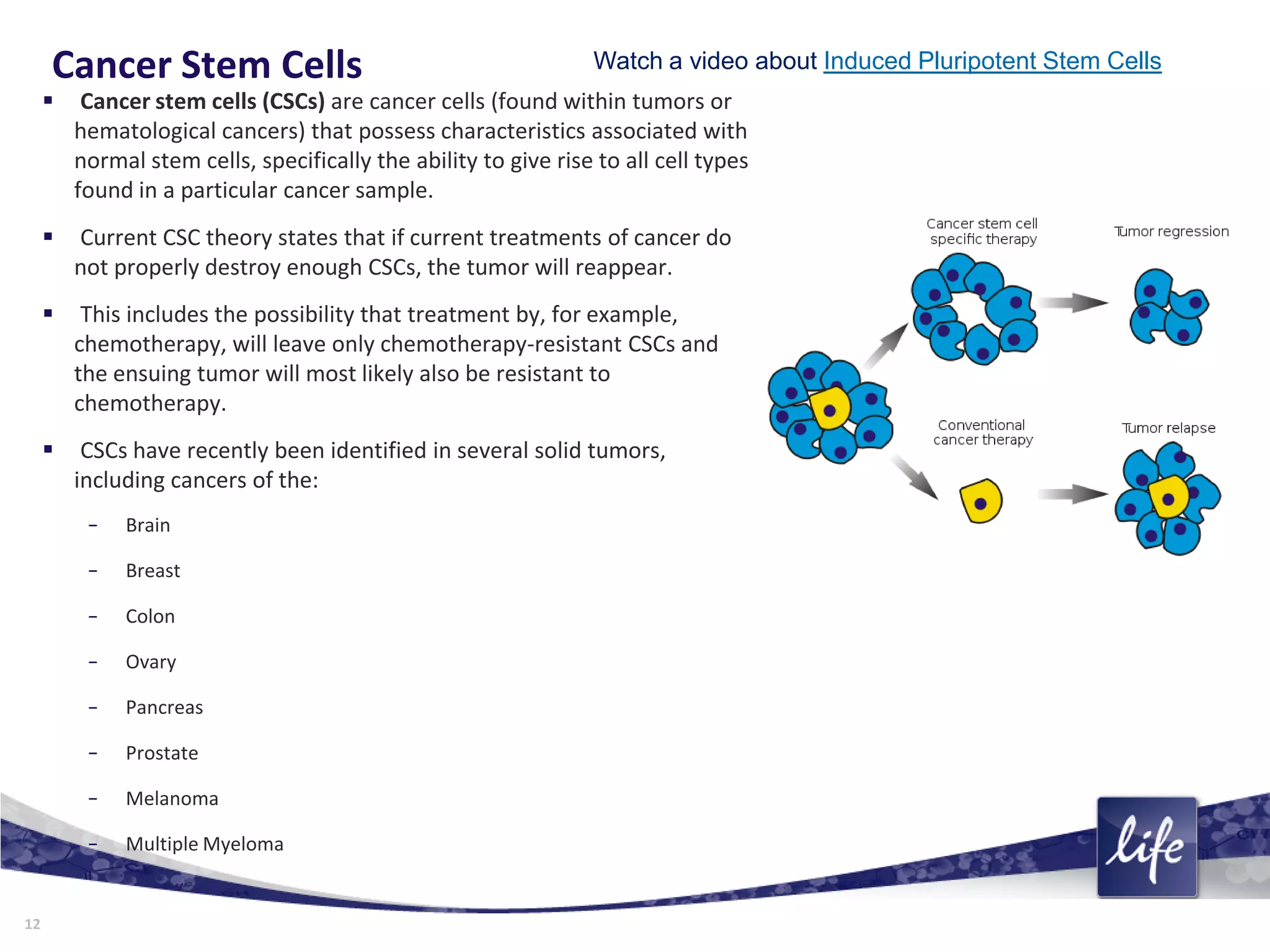 What are stem cells? An introduction to different types of stem cells ...