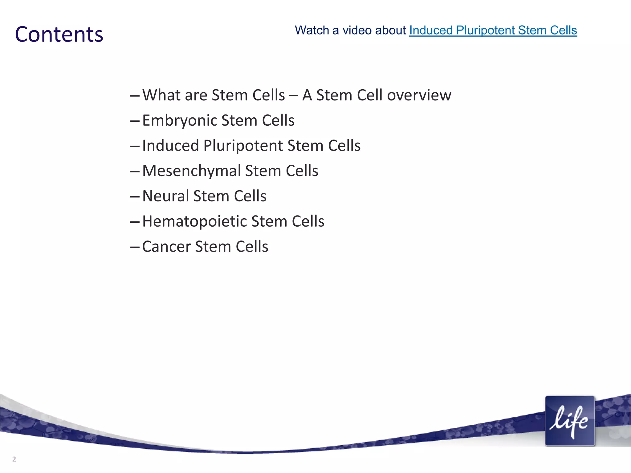 What are stem cells? An introduction to different types of stem cells. | PDF