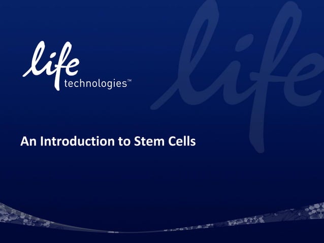 What are stem cells? An introduction to different types of stem cells ...