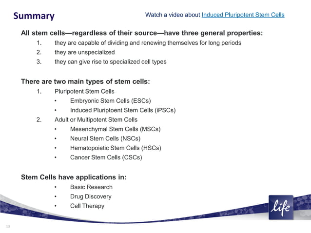 What are stem cells? An introduction to different types of stem cells. | PDF | Biological ...