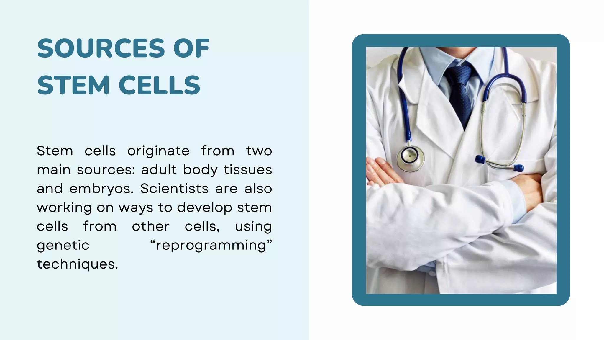 What are stem cells, and what do they do? | Dr. David Greene Arizona | PPTX