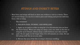 What are stings and insect bites | PPTX