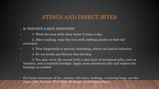 What are stings and insect bites | PPTX