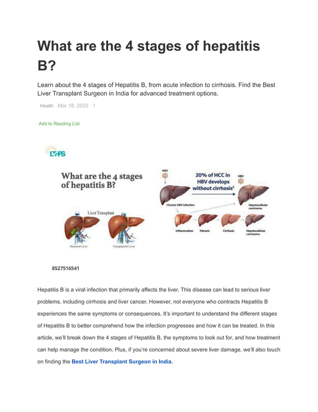 What are the 4 stages of hepatitis B_.pdf