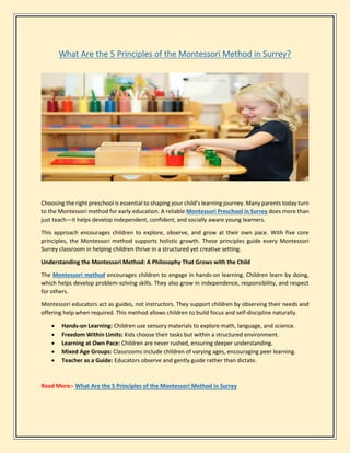 What Are the 5 Principles of the Montessori Method in Surrey? | PDF