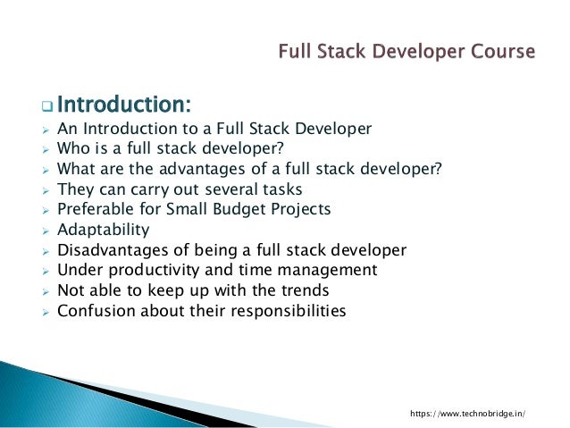 What are the advantages and disadvantages of a full stack developer