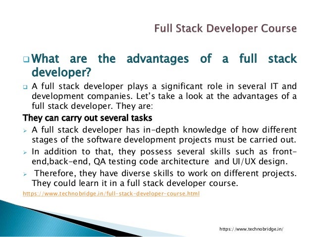 What are the advantages and disadvantages of a full stack developer