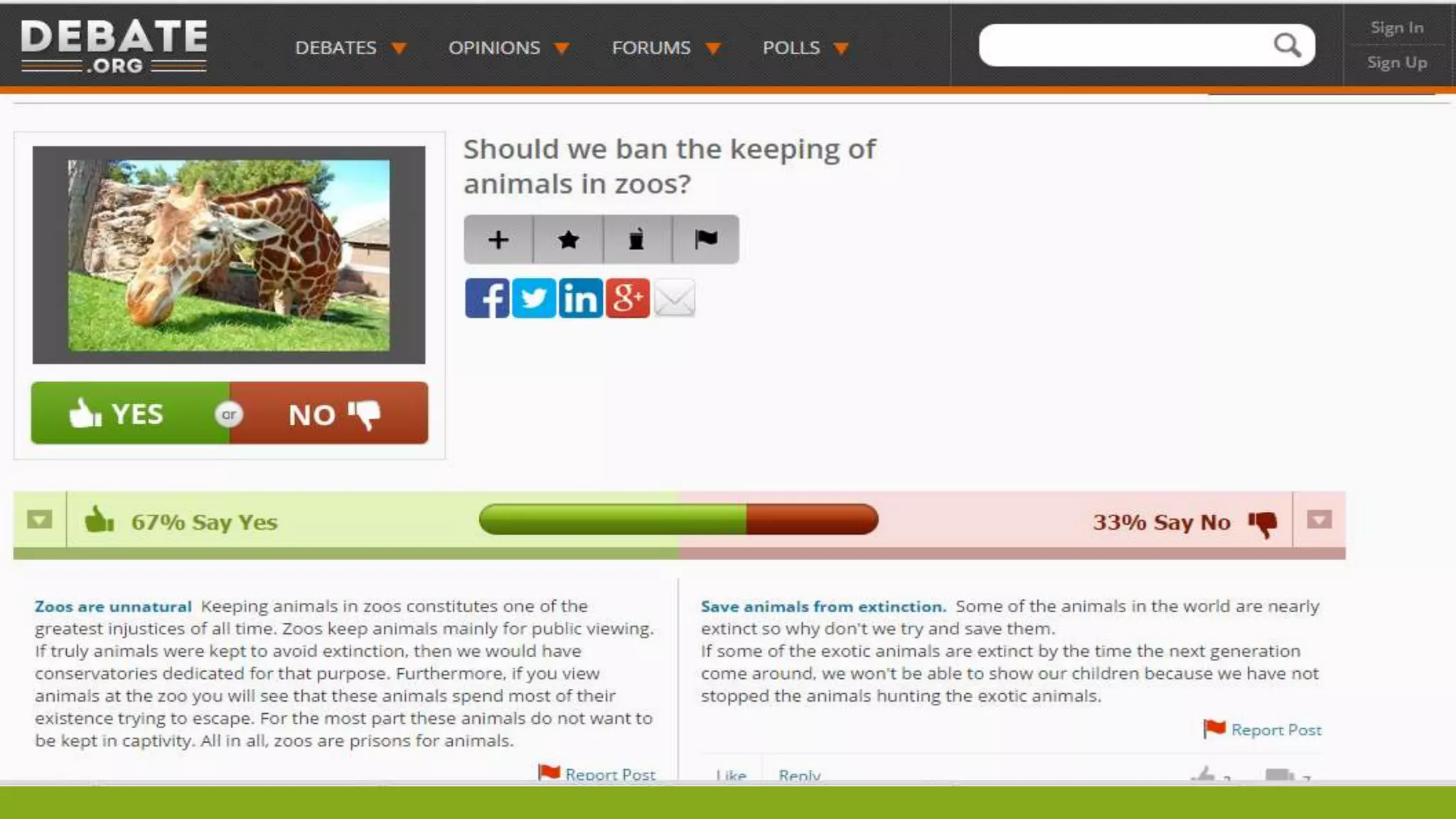What are the advantages and disadvantages of keeping animals in Zoos ...