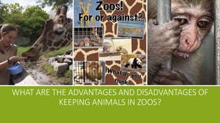 What are the advantages and disadvantages of keeping animals in Zoos ...