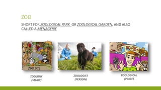 What are the advantages and disadvantages of keeping animals in Zoos ...