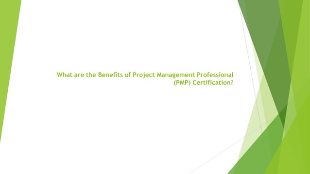 What are the Benefits of Project Management Professional.pdf