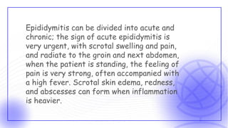 What are the Characteristics of Patients Infected with Epididymitis? | PPT