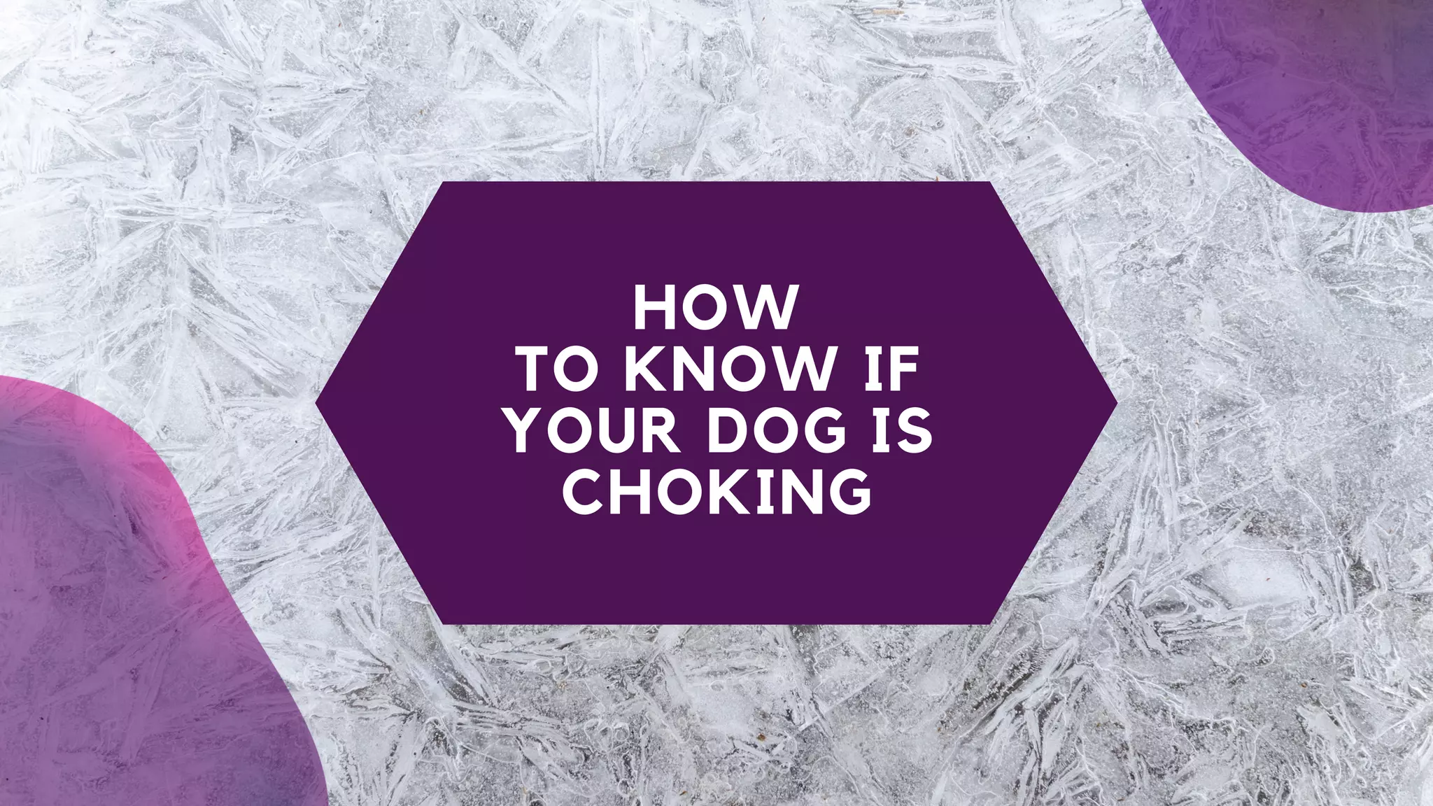 What are the Common Causes of Choking in Dogs | PPT
