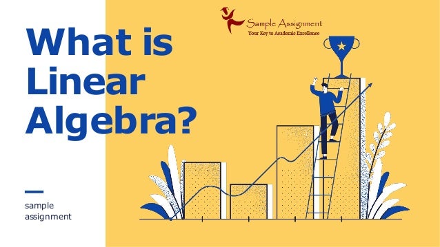 What are the different Types of Algebraic Variations.pptx