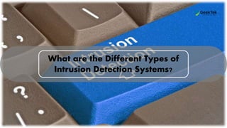 What are the Different Types of Intrusion Detection Systems | PPTX