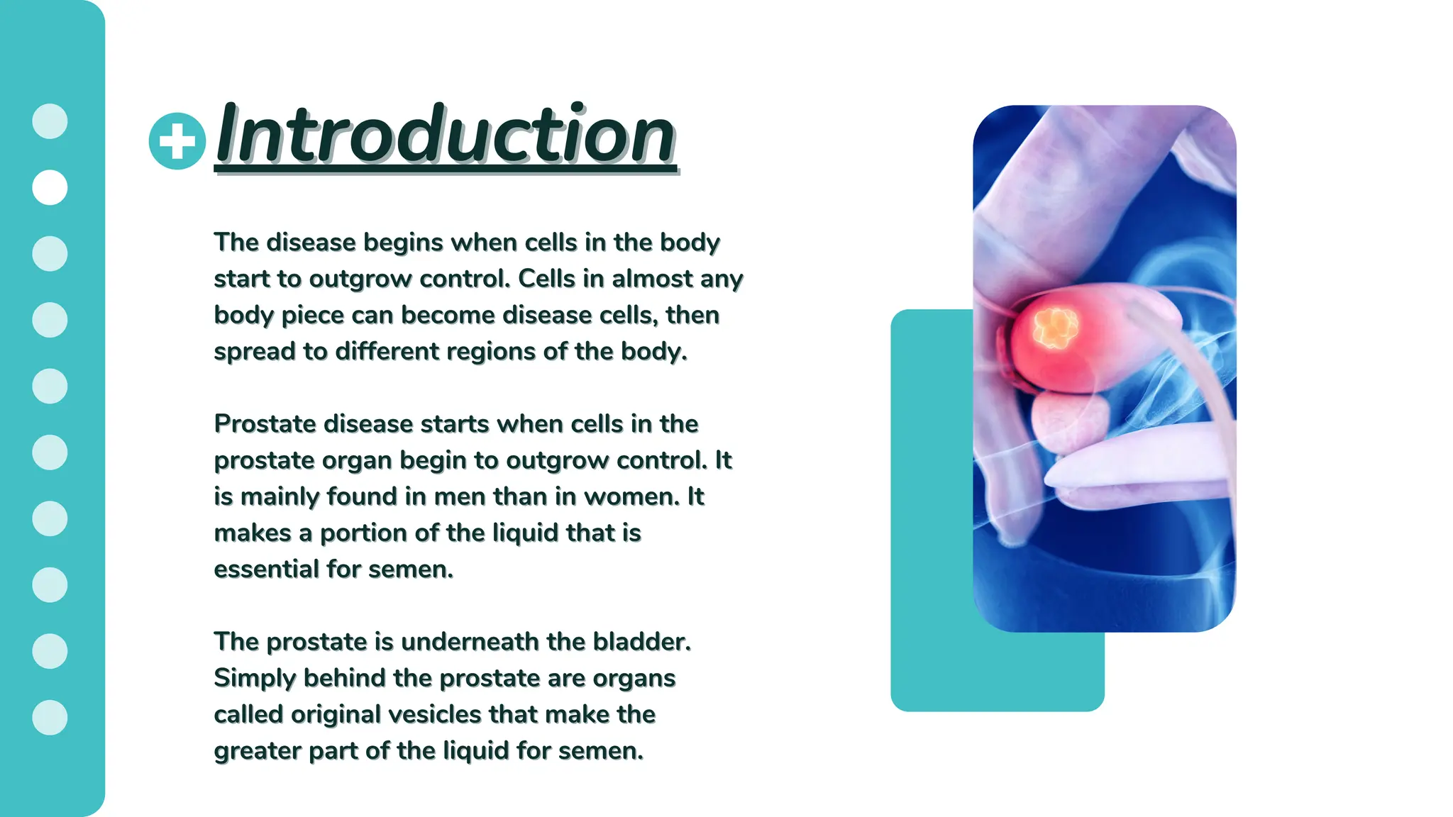 What Are The Different Types of Prostate Cancer | PPT