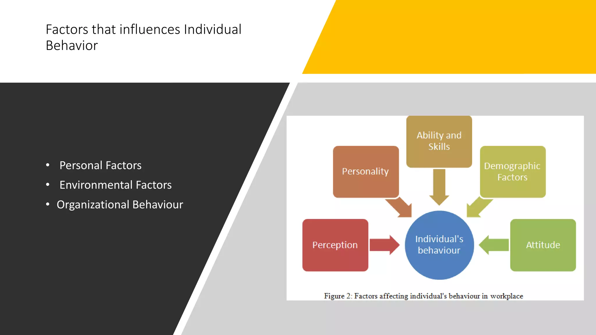 What are the factors that influences individual behavior | PPTX