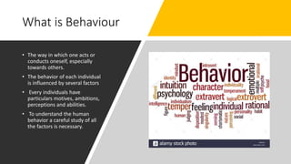 What are the factors that influences individual behavior | PPTX