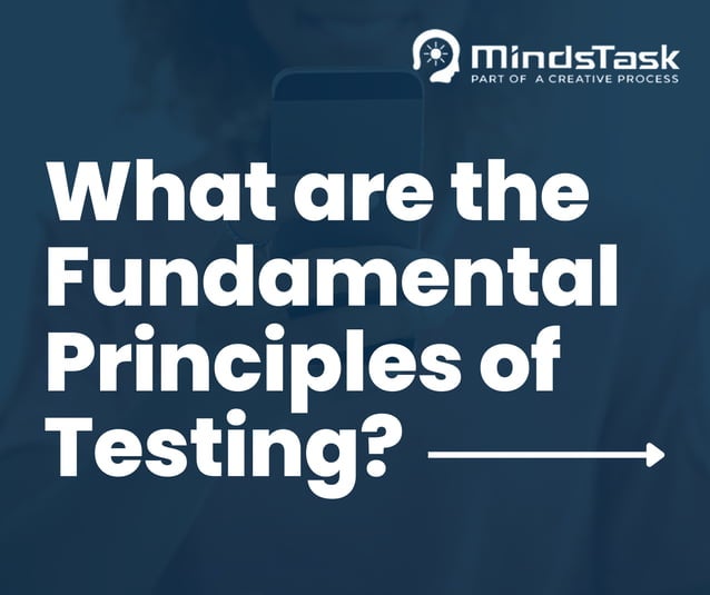 What Are The Fundamental Principles Of Testing pdf What Are The Fundamental Principles Of Testing pdf
