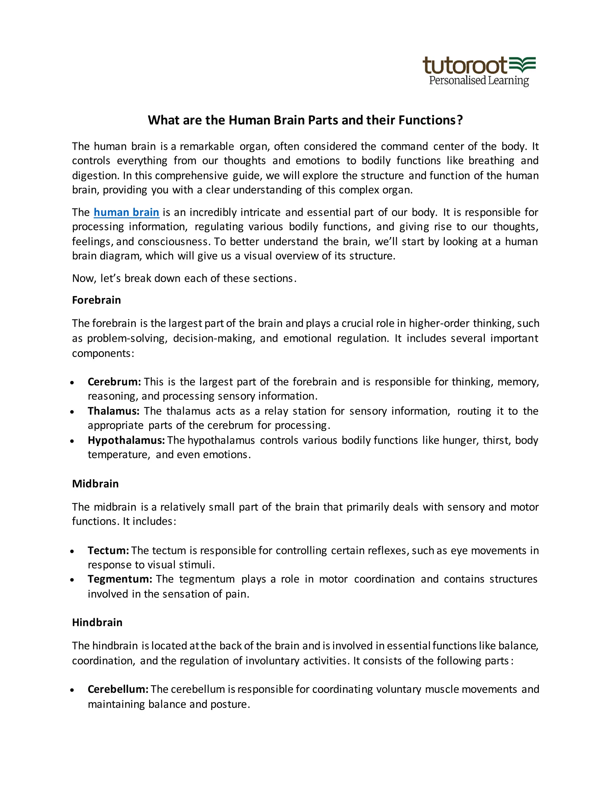 What are the Human Brain Parts and their Functions? | PDF