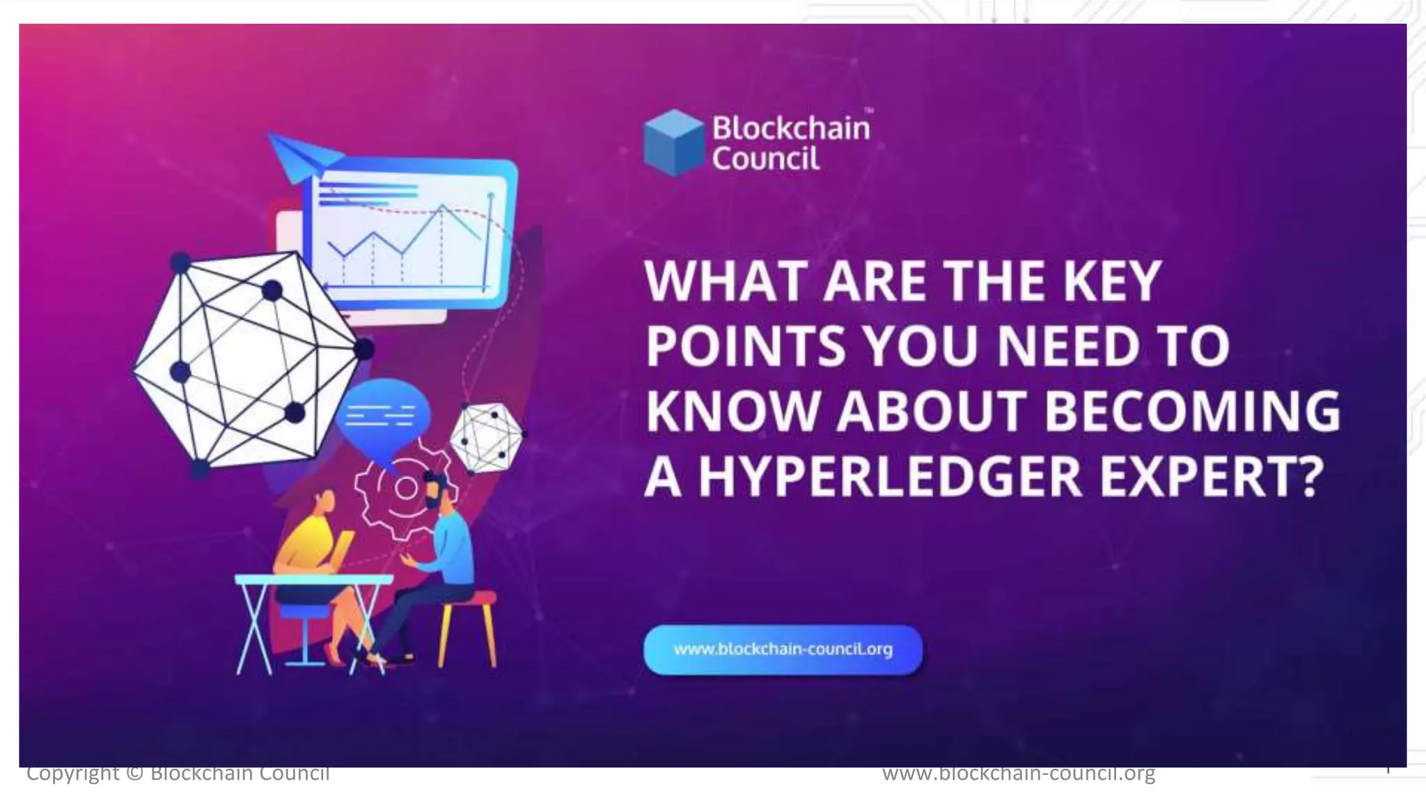 What are the key points you need to know about becoming a hyperledger expert | PPT