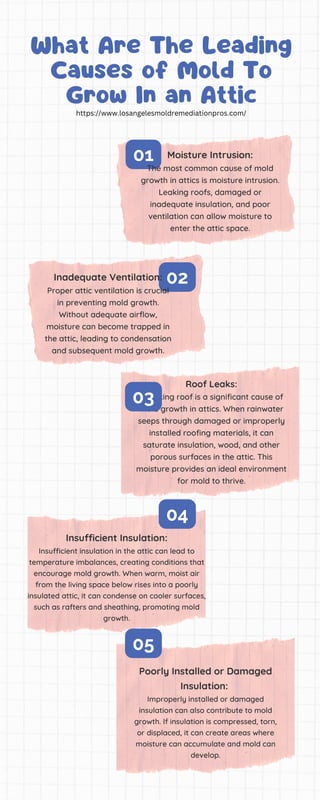 What Are The Leading Causes of Mold To Grow In an Attic.pdf
