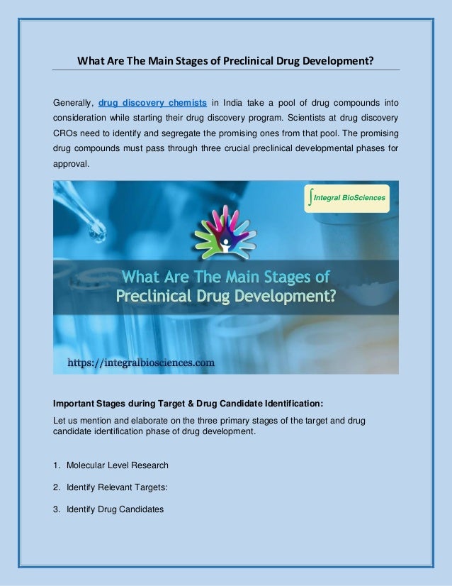 What Are the Main Stages of Preclinical Drug Development?