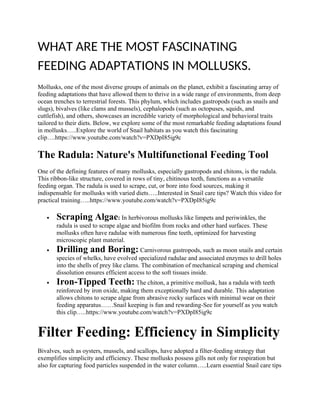 WHAT ARE THE MOST FASCINATING FEEDING ADAPTATIONS IN MOLLUSKS..docx