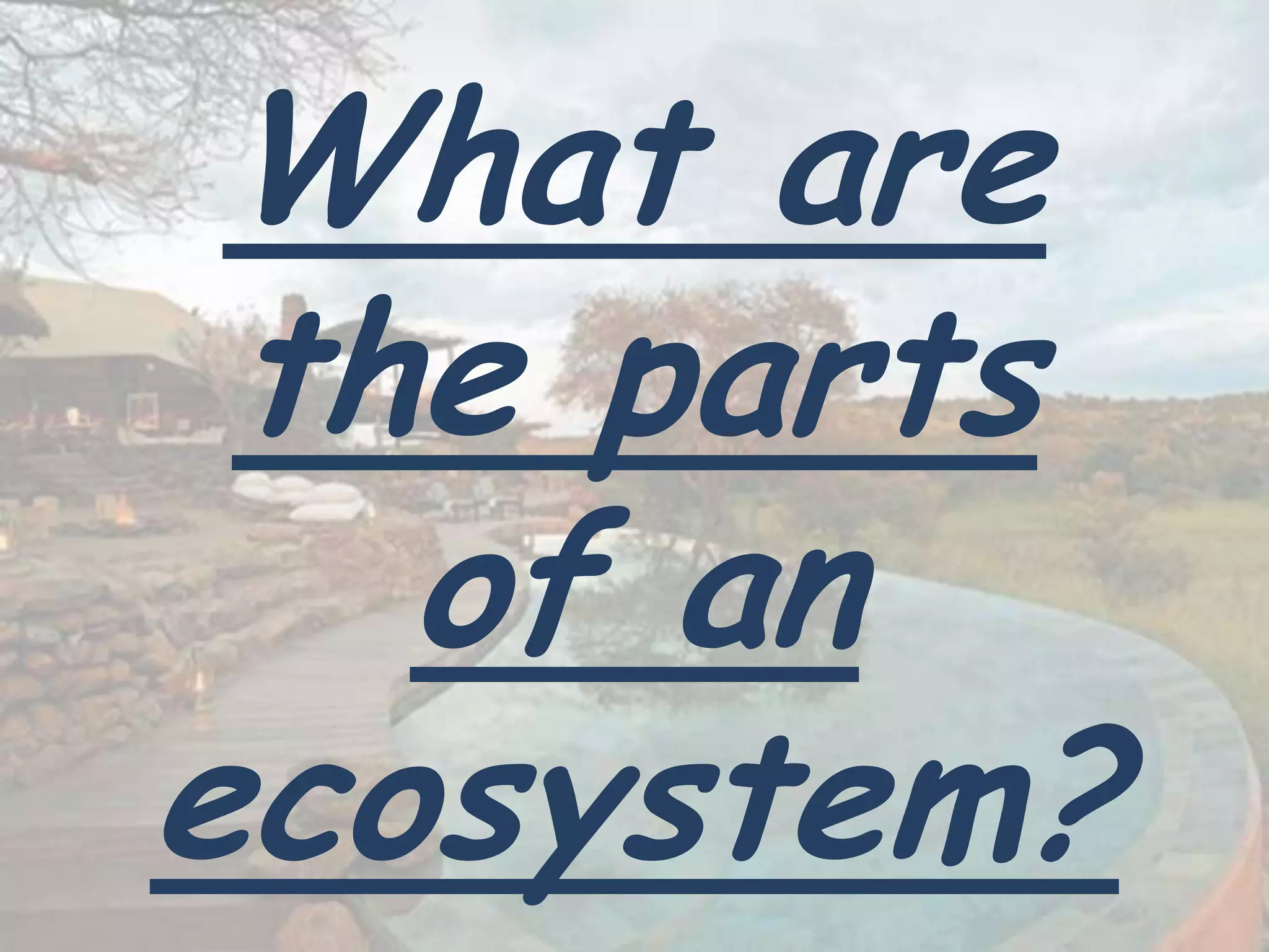 What are the parts of the ecosystem | PPTX | Geography | Science