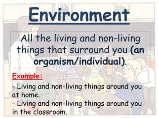 What are the parts of the ecosystem | PPTX | Geography | Science