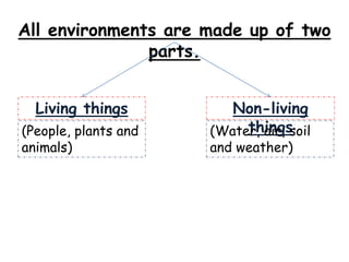 What are the parts of the ecosystem | PPTX