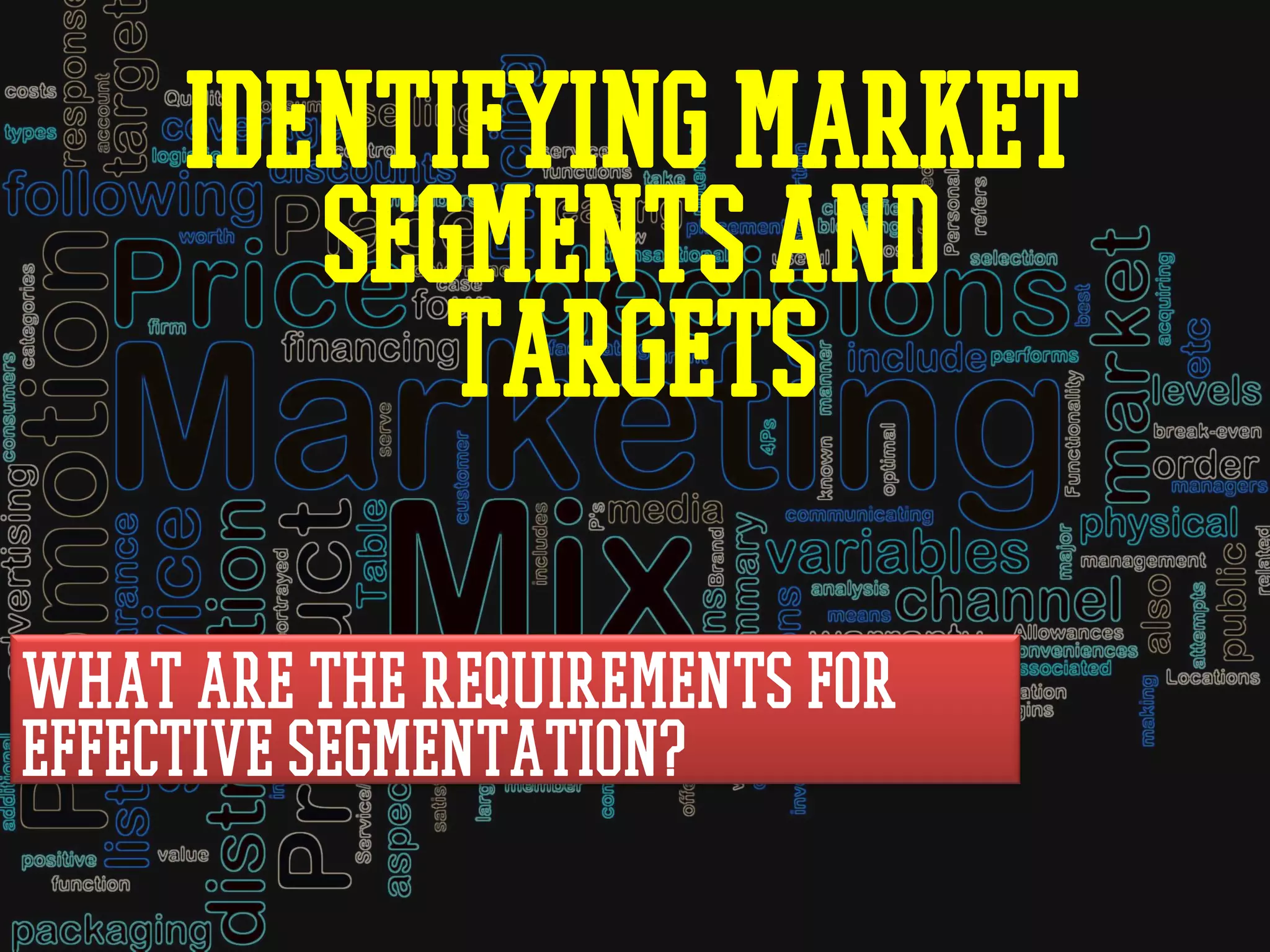 What are the requirements for effective segmentation | PPT