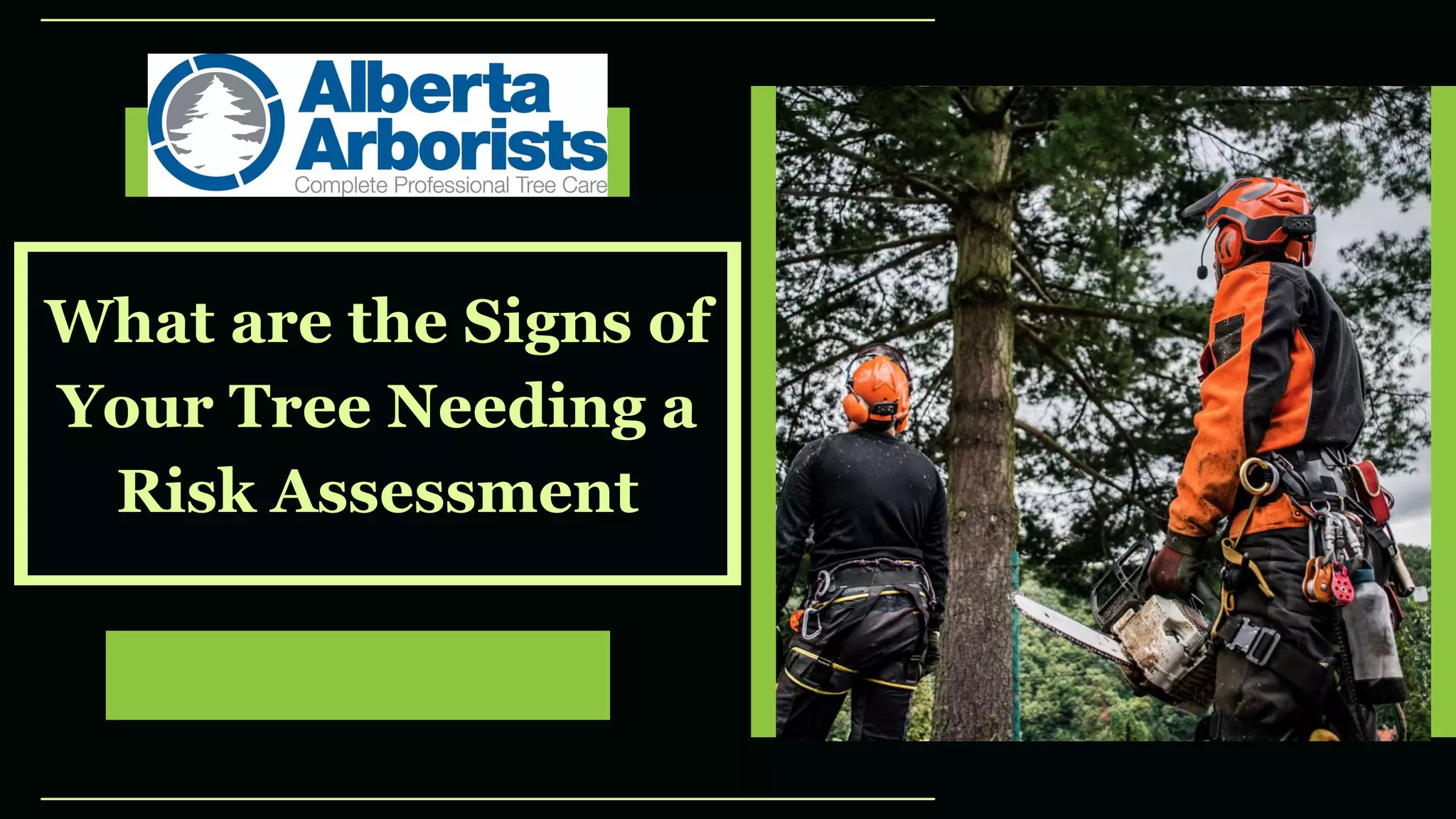 What are the Signs of Your Tree Needing a Risk Assessment | PPT