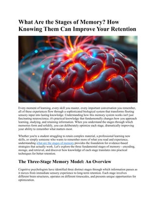 What Are the Stages of Memory How Knowing Them Can Improve Your ...