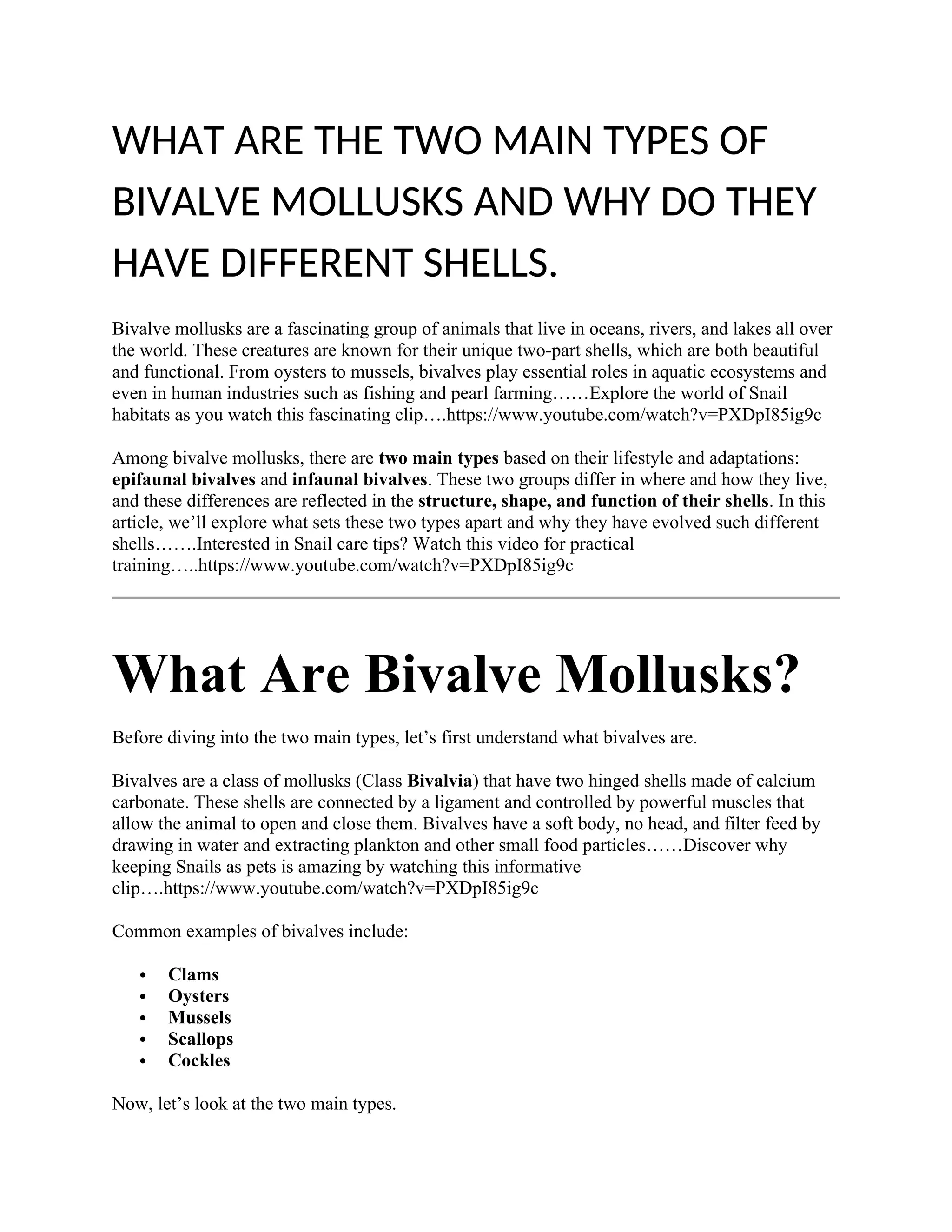 WHAT ARE THE TWO MAIN TYPES OF BIVALVE MOLLUSKS AND WHY DO THEY HAVE ...