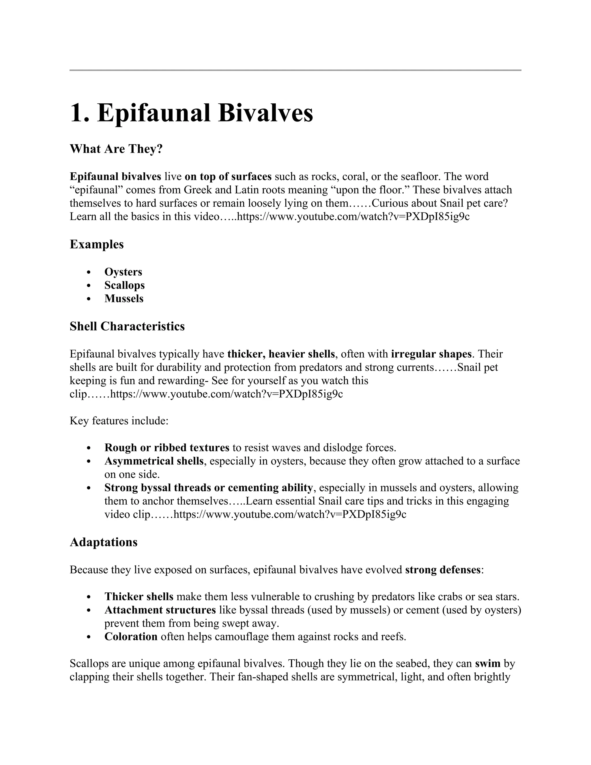 WHAT ARE THE TWO MAIN TYPES OF BIVALVE MOLLUSKS AND WHY DO THEY HAVE ...