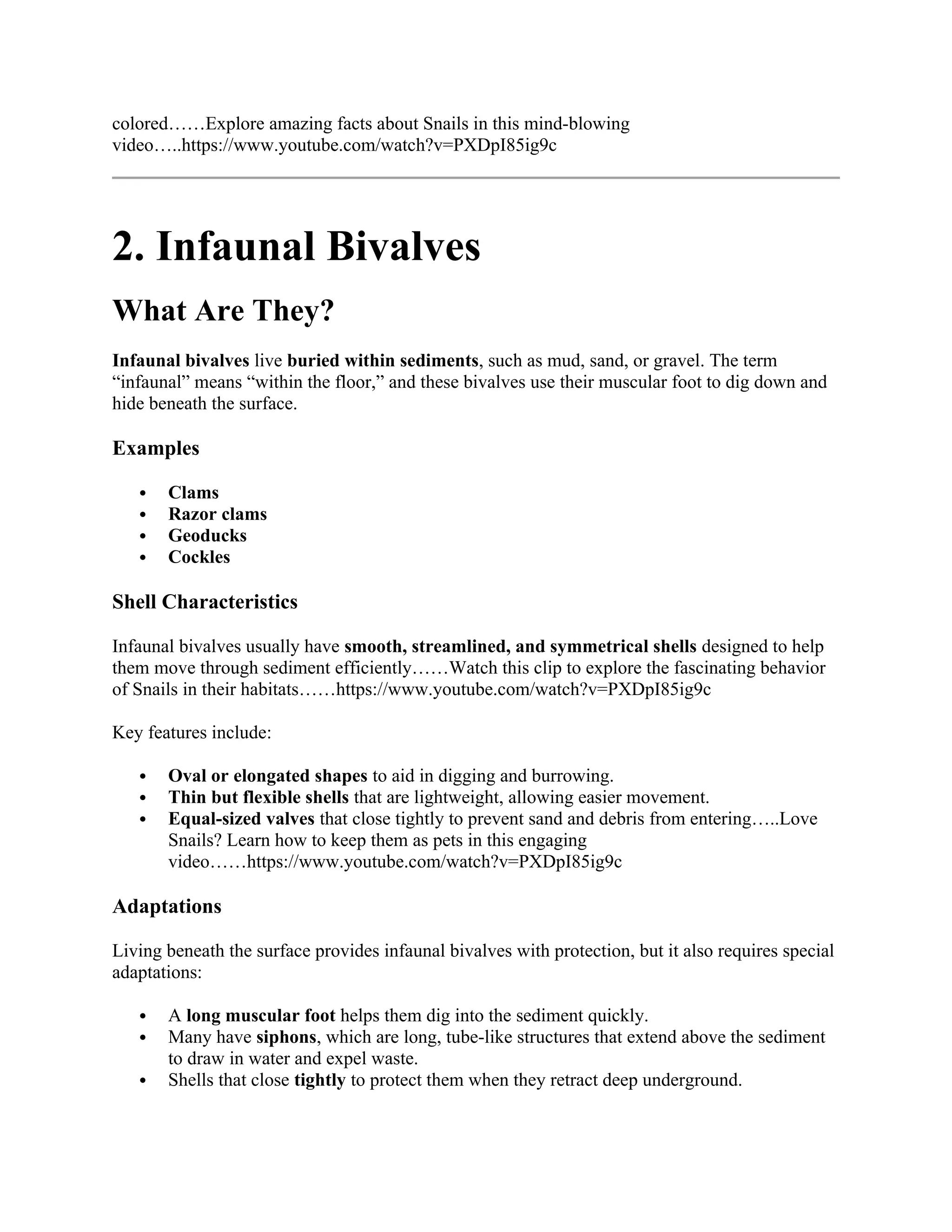 What Are The Two Main Types Of Bivalve Mollusks And Why Do They Have Different Shells Docx