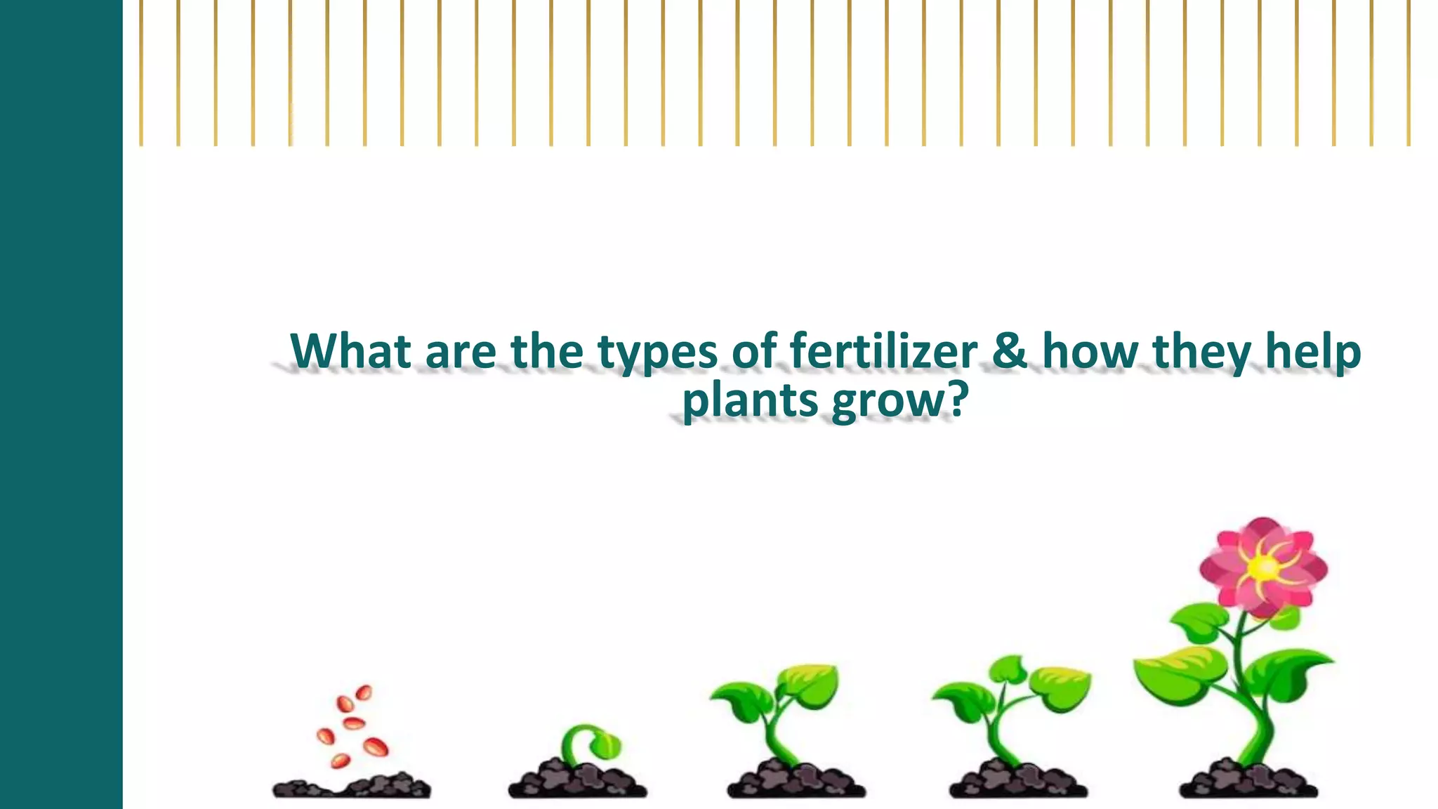 What are the types of fertilizer & how they help plants grow | PPT