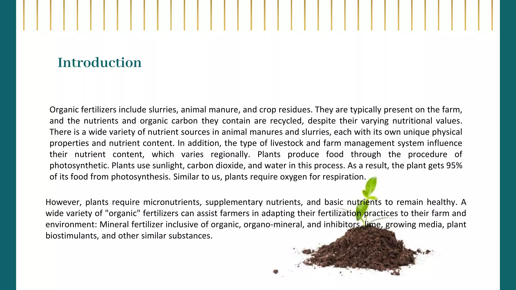 What are the types of fertilizer & how they help plants grow | PPT