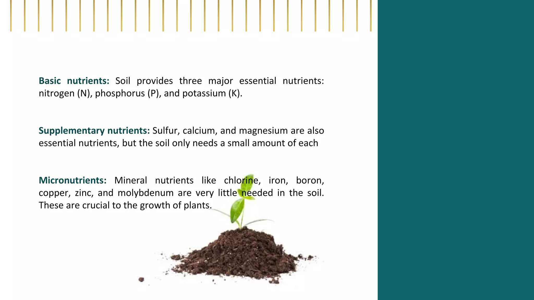 What are the types of fertilizer & how they help plants grow | PPTX
