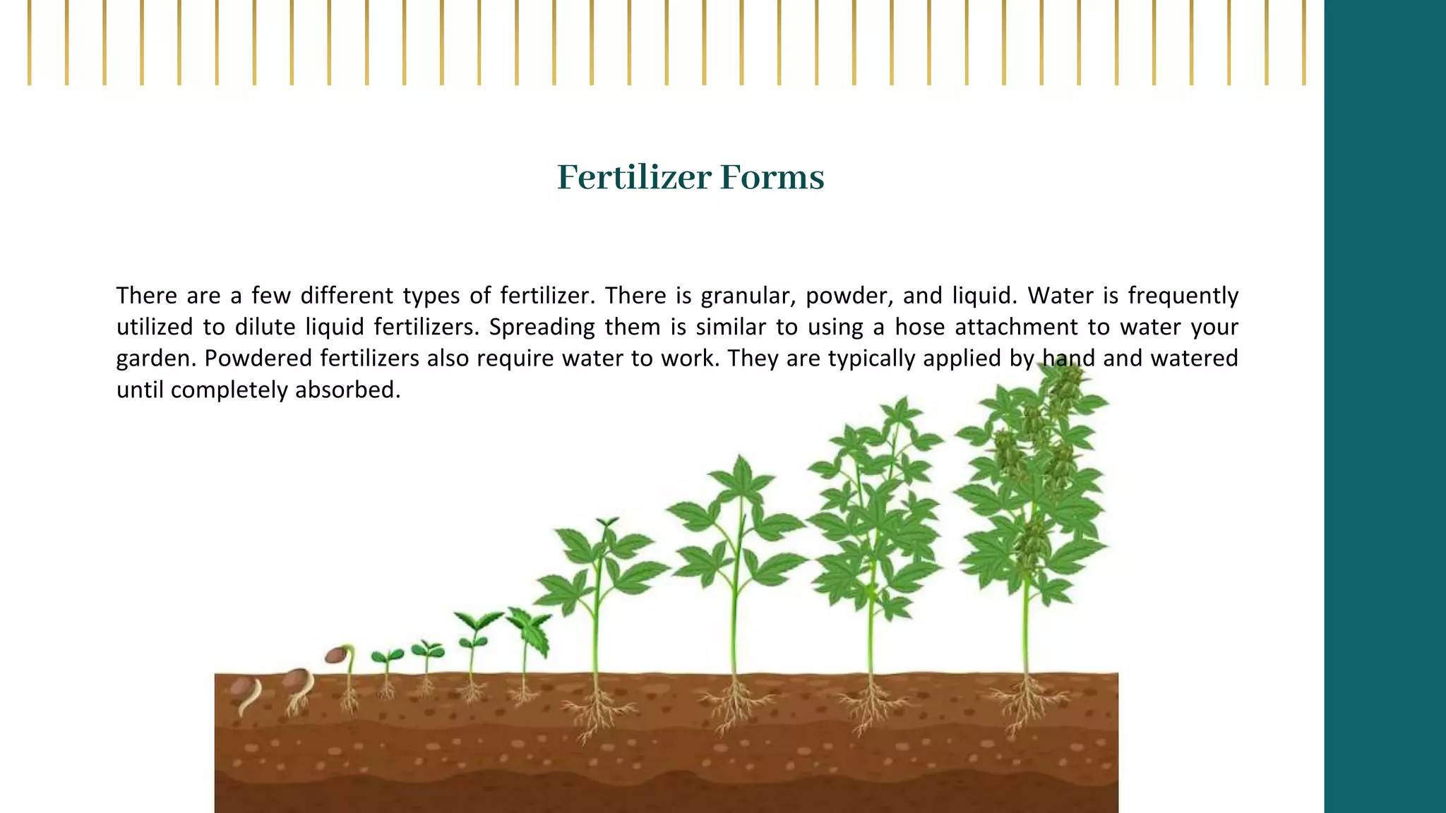 What are the types of fertilizer & how they help plants grow | PPTX