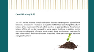 What are the types of fertilizer & how they help plants grow | PPT