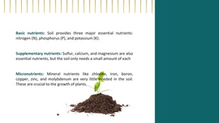 What are the types of fertilizer & how they help plants grow | PPT