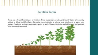 What are the types of fertilizer & how they help plants grow | PPT