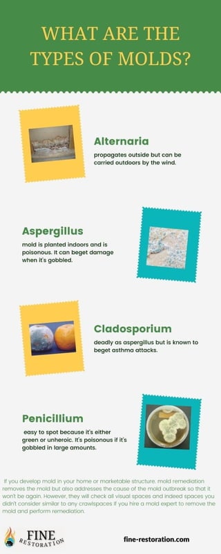 What Are The Types Of Molds? | PDF