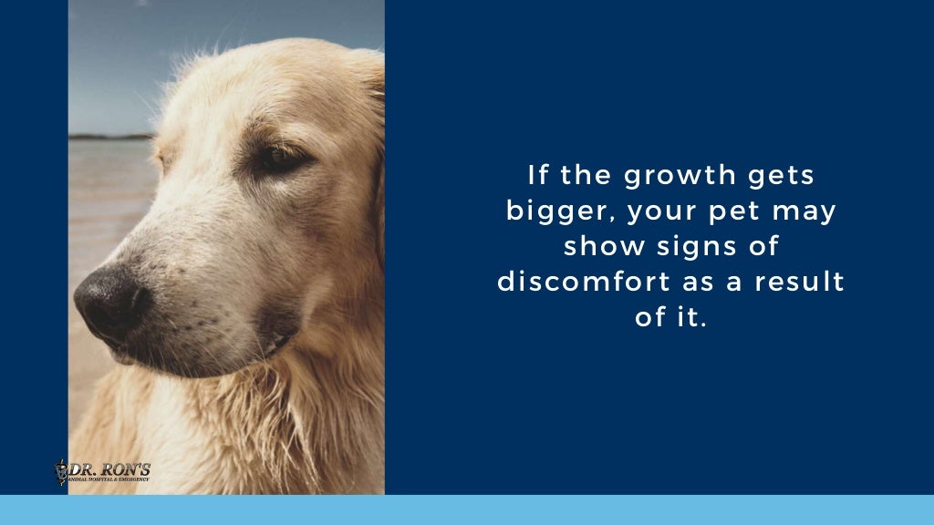 What are the Typical Causes of Benign Tumors in Dogs | PPT