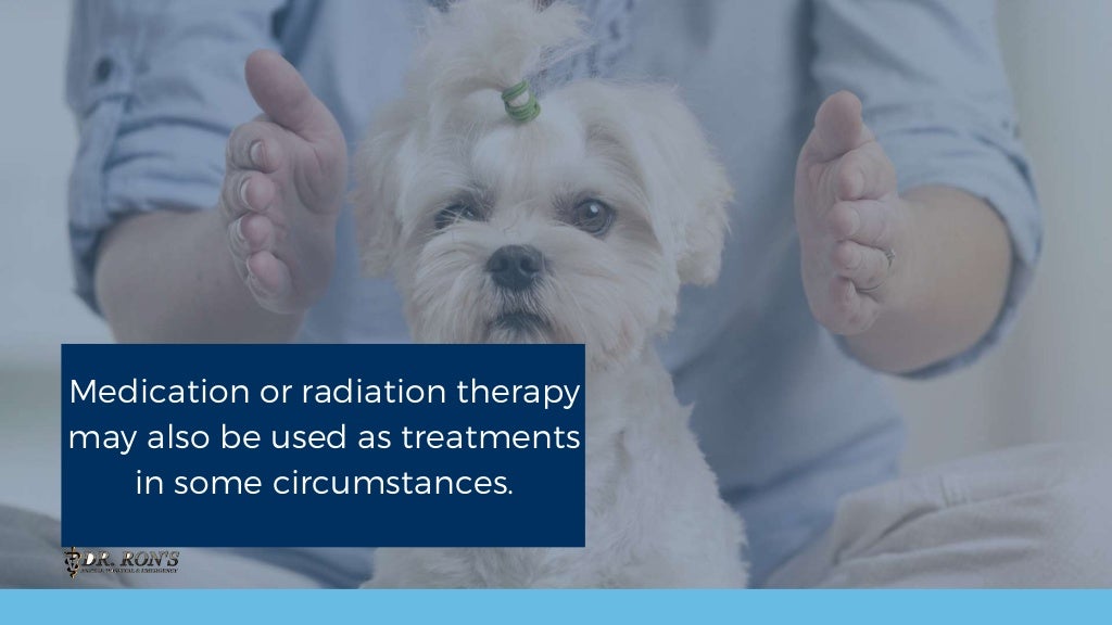 What are the Typical Causes of Benign Tumors in Dogs | PPT
